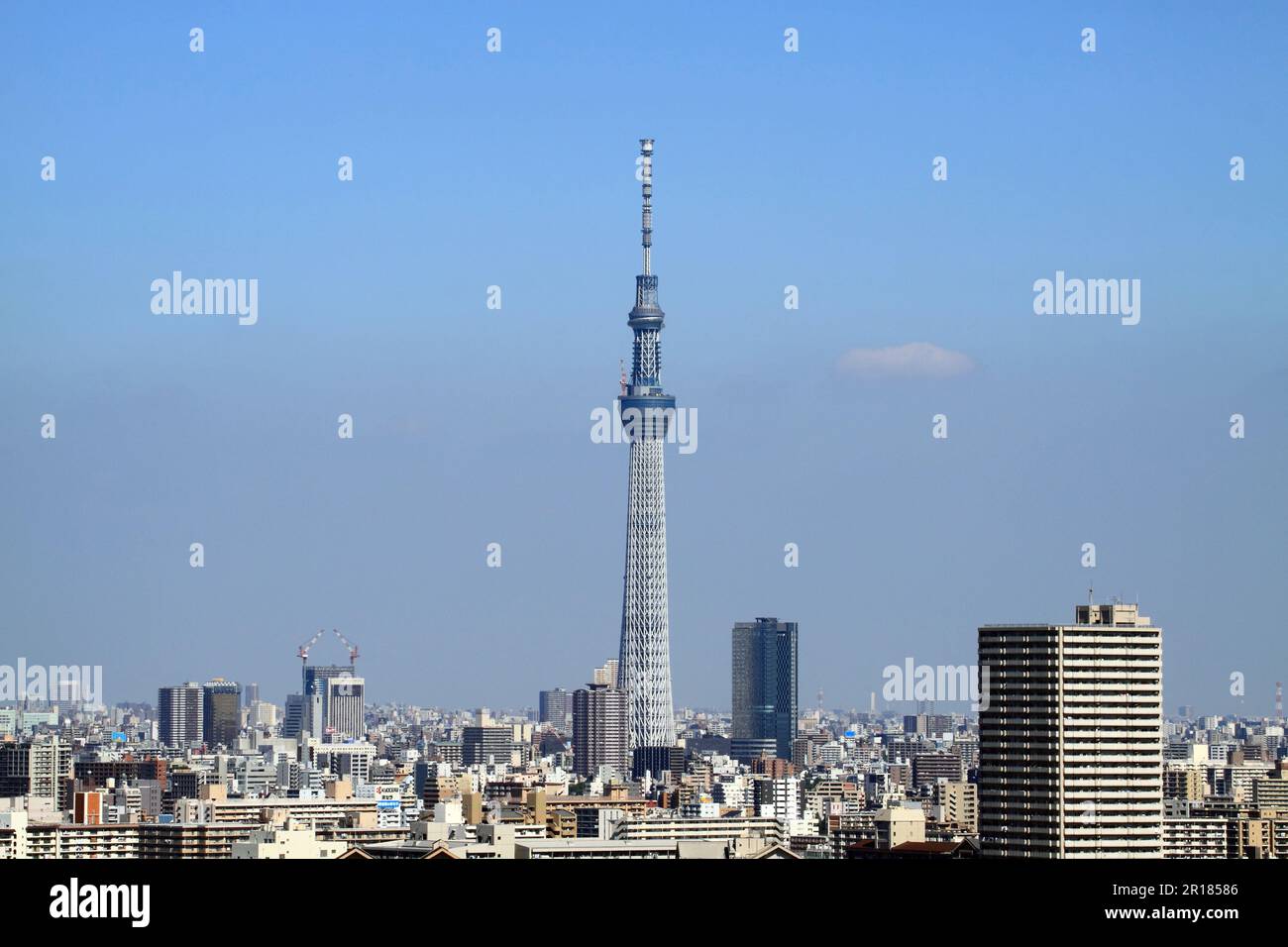 Funabori edogawa hi-res stock photography and images - Alamy