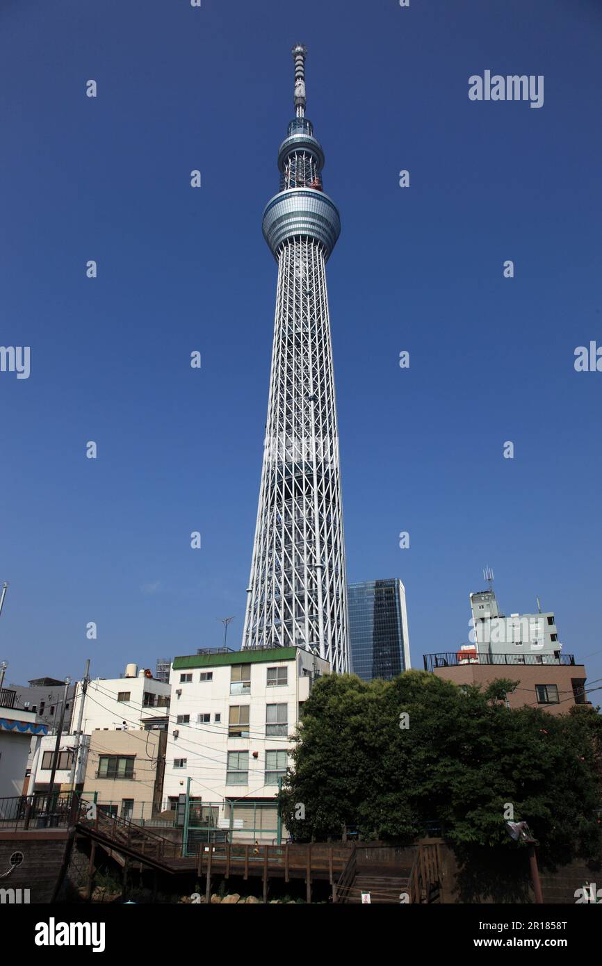 Tokyo Sky tree seen from Narihira bridge Stock Photo - Alamy