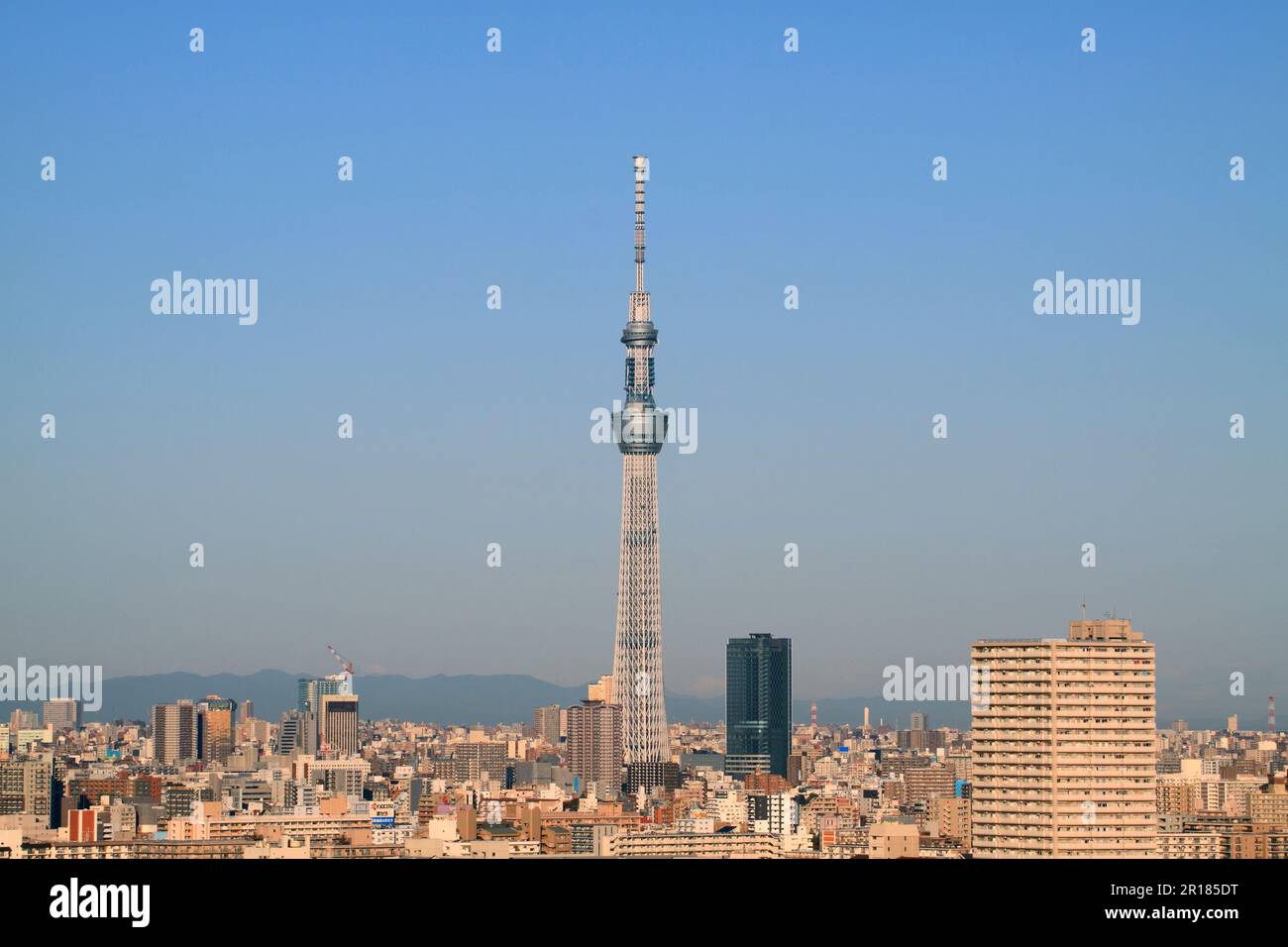 Tokyo sky tree from Funabori Stock Photo - Alamy