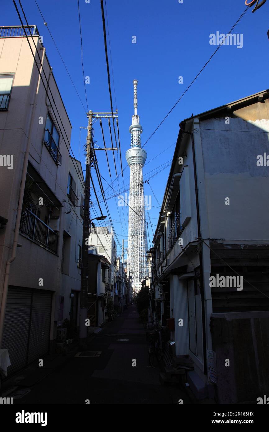 Tokyo sky tree than the decades between the North River next to the ...