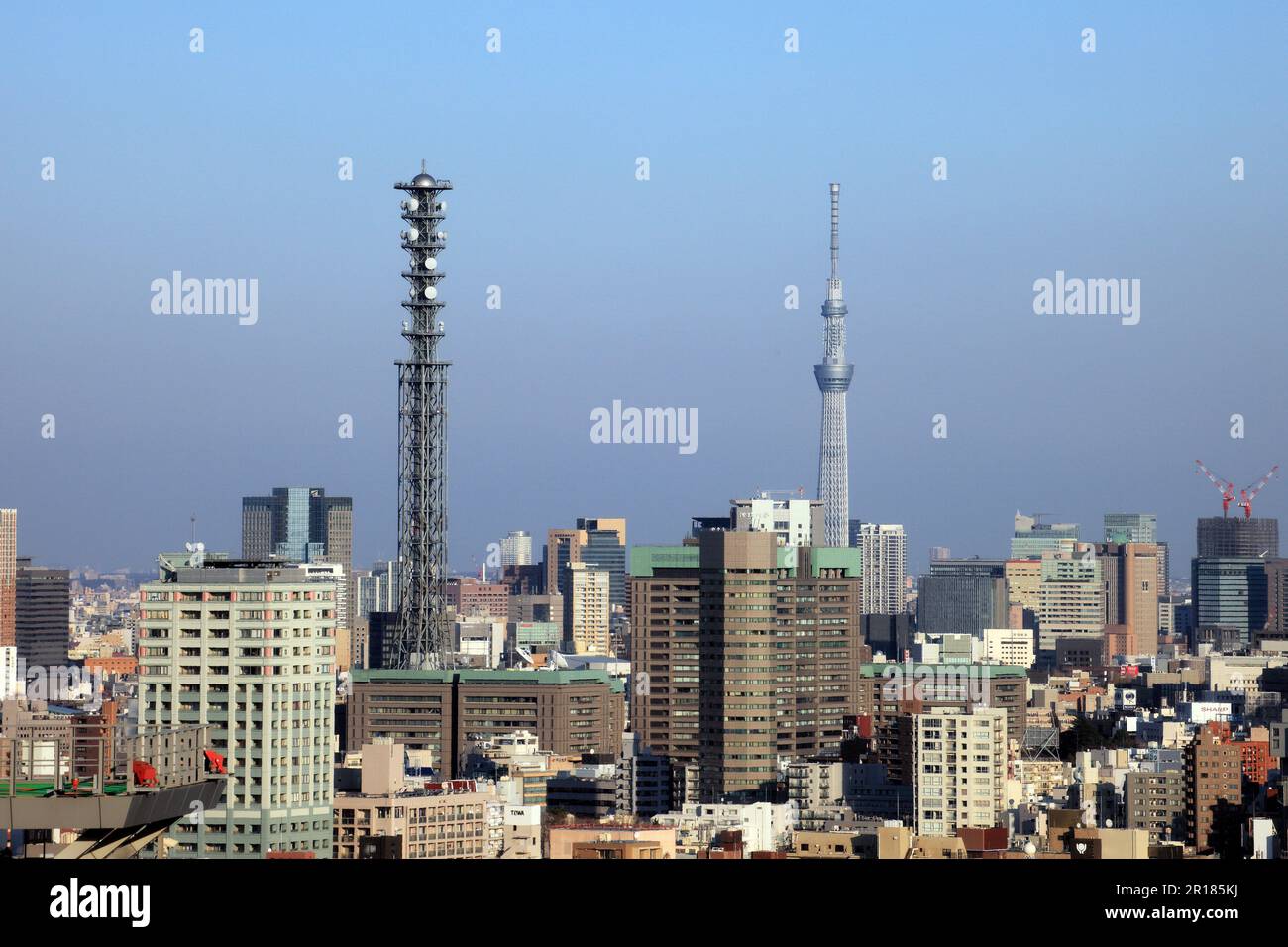 Tokyo sky tree from the Shinjuku Odakyu hotel Stock Photo - Alamy