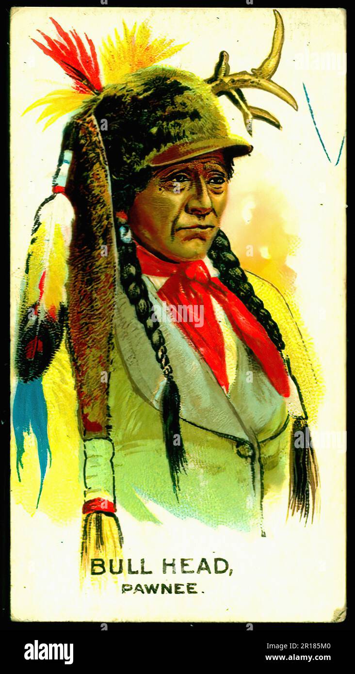 Indian Chief Bull Head - Vintage Cigarette Card Stock Photo - Alamy