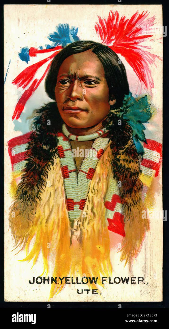 Indian Chief John Yellow Flower - Vintage Cigarette Card Stock Photo ...
