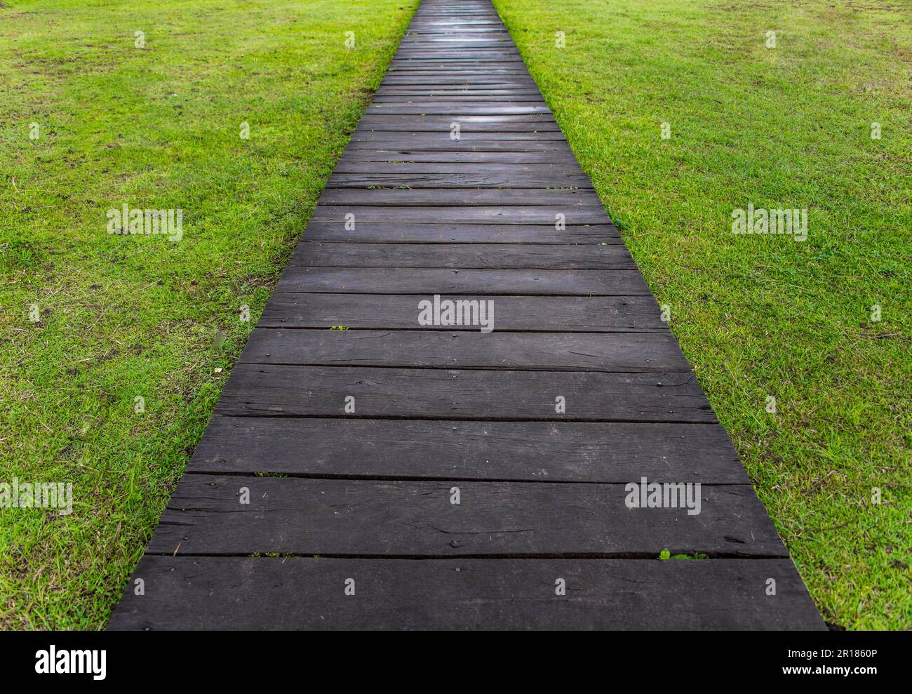 Wooden path through the lawn Stock Photo - Alamy