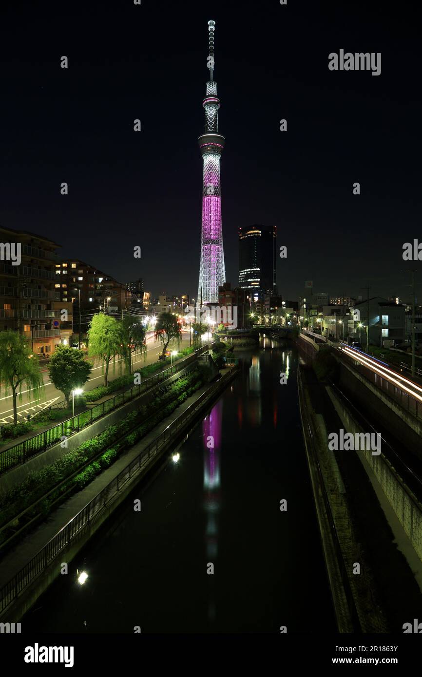 Tokyo Sky Tree was lit up in pink overlooking than Yanagijima ...