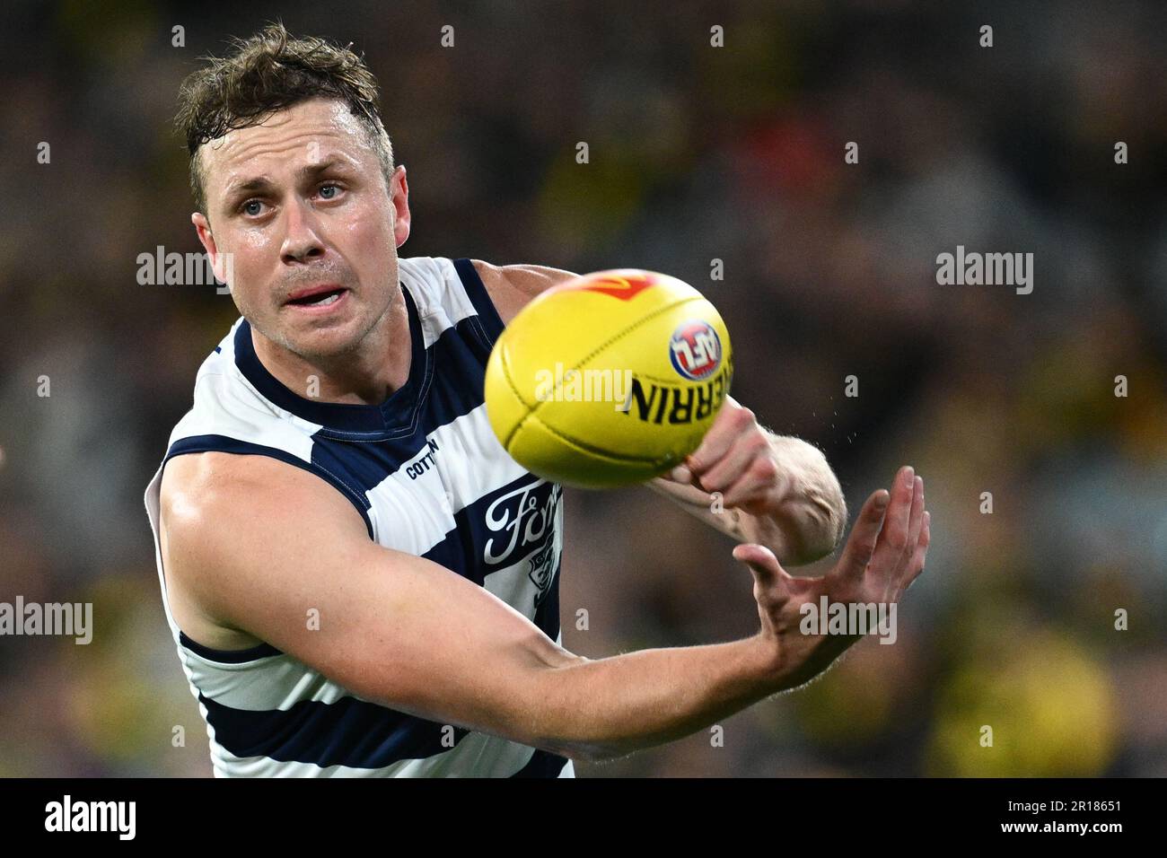 Mitch Duncan of Geelong during the AFL Round 9 match between the ...