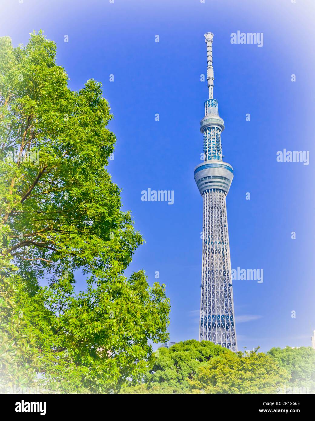 Tokyo Sky Tree Stock Photo - Alamy