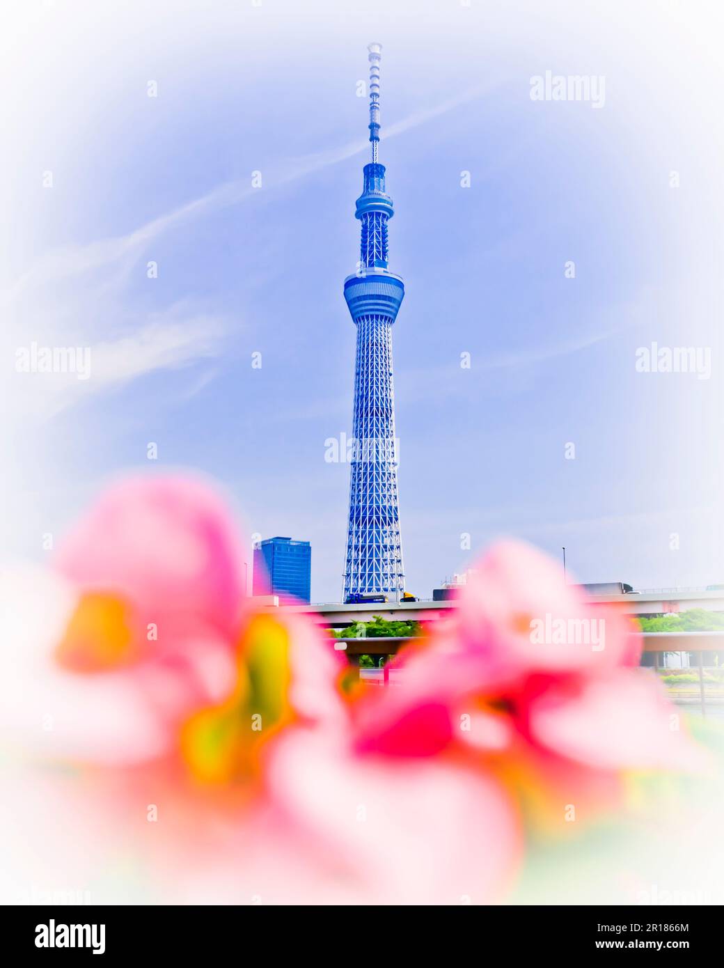 Tokyo Sky Tree Stock Photo - Alamy