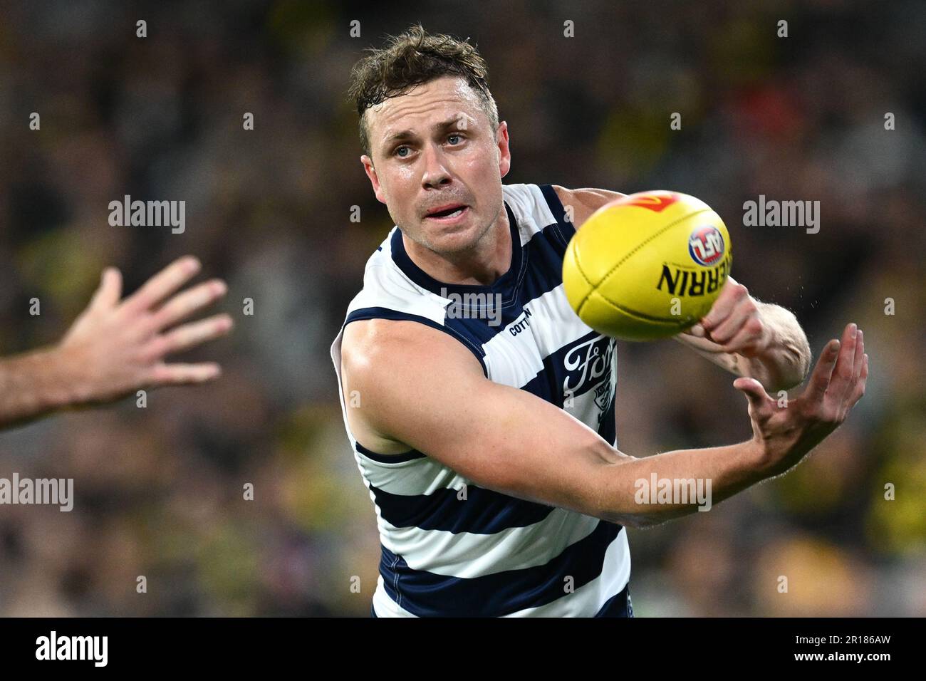 Mitch Duncan of Geelong during the AFL Round 9 match between the ...