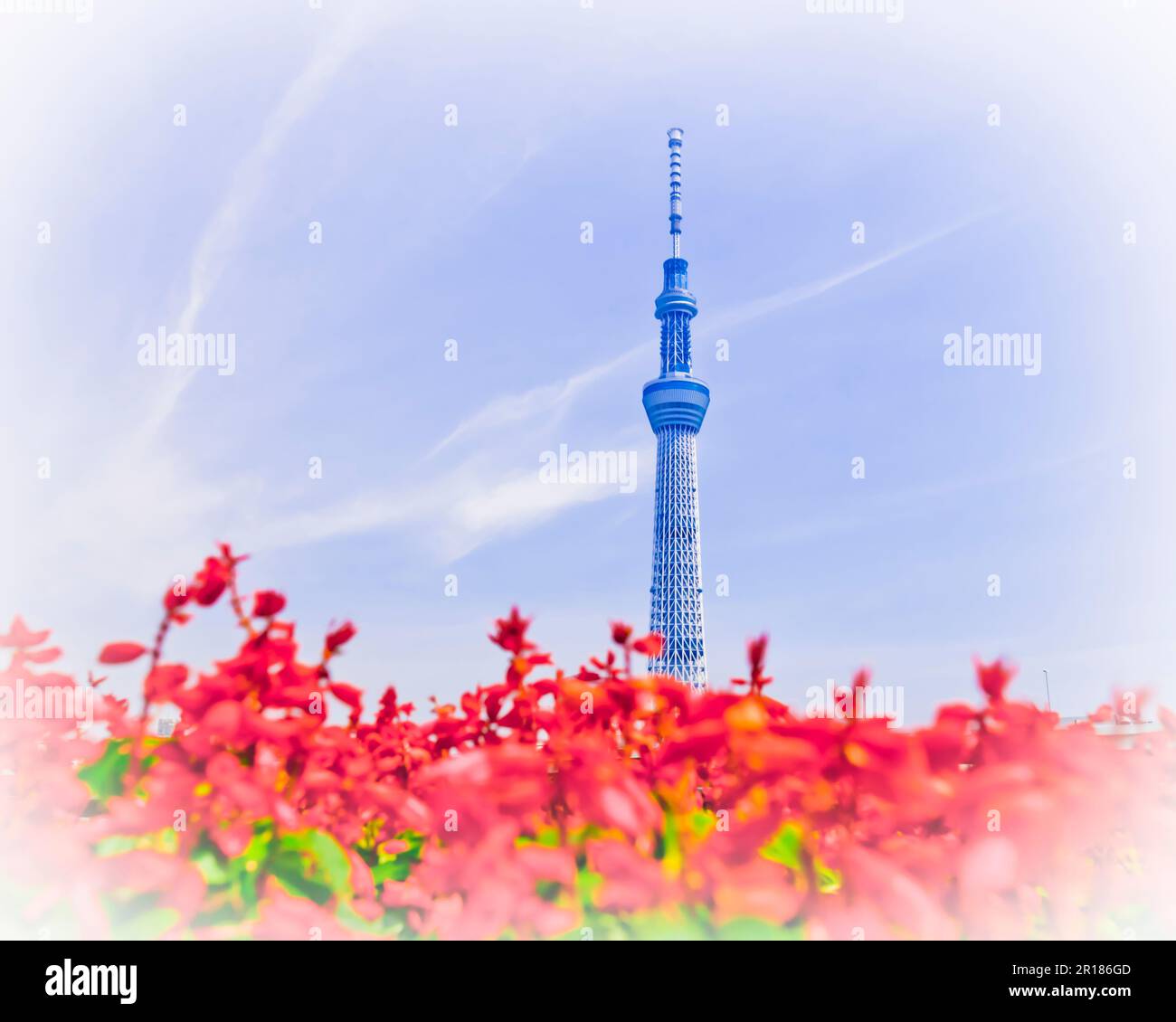 Tokyo Sky Tree Stock Photo - Alamy