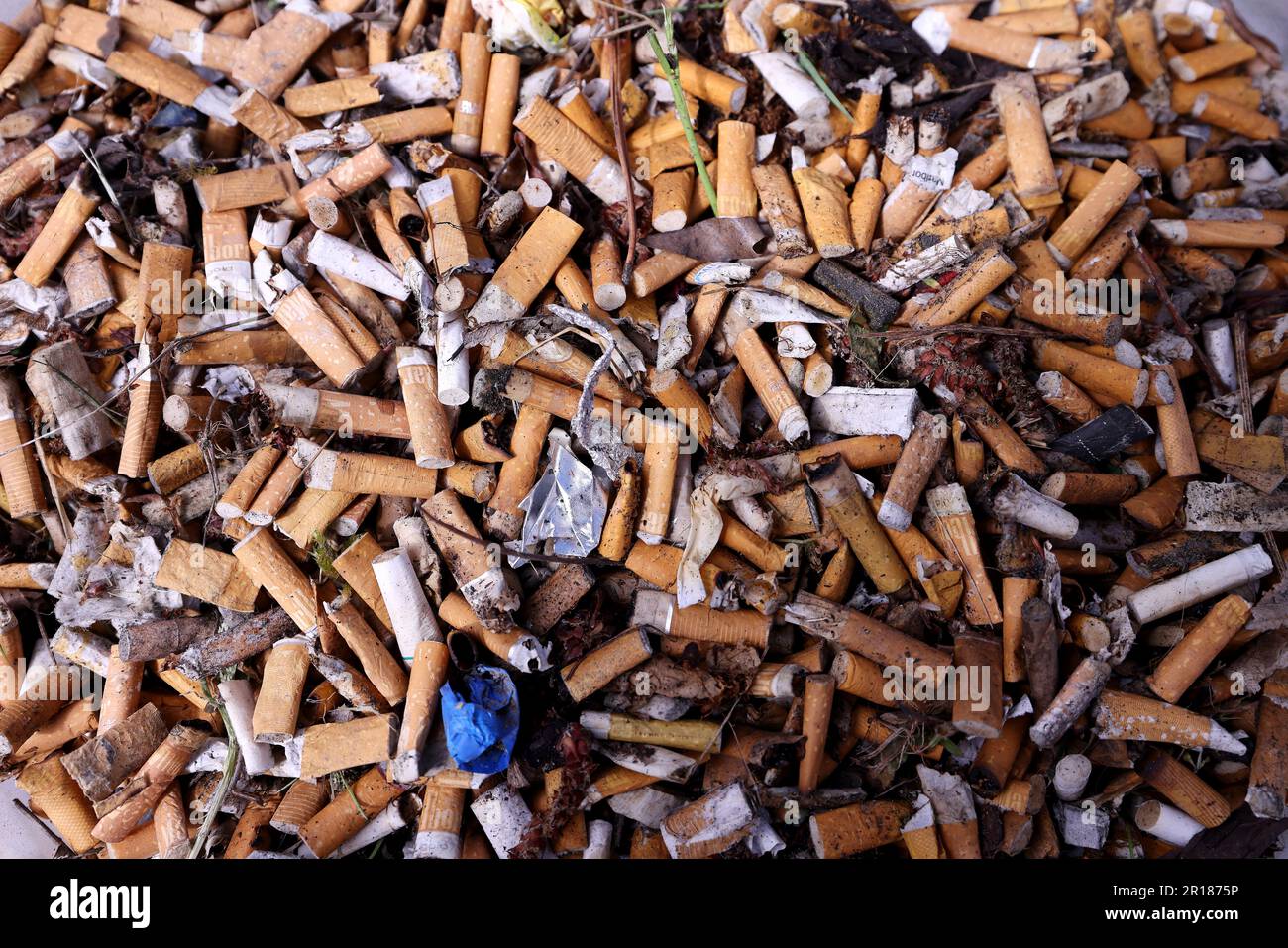 Duesseldorf, Germany. 12th May, 2023. Cigarette butts are stored in a ...