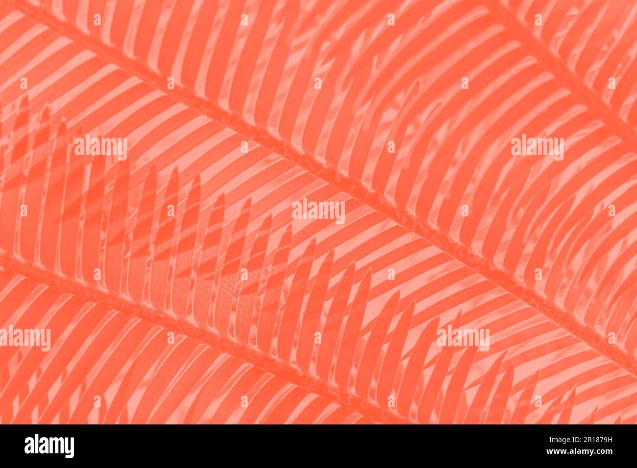 Red coral color background with palm leaves pattern Stock Photo - Alamy