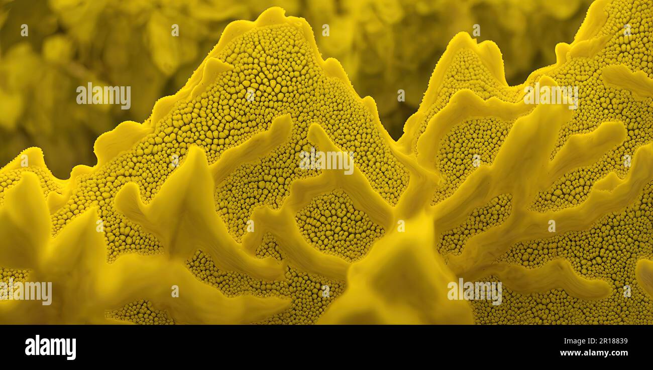 Abstract yellow texture background. Selective soft focus. AI Stock ...