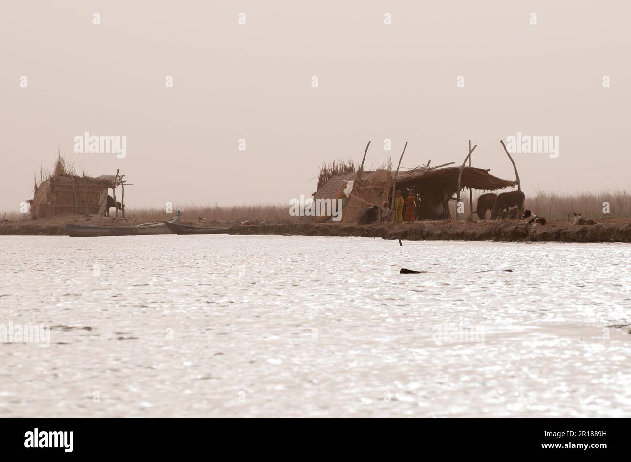 Traditional Marsh Arab buildings, constructed using reeds, Southern ...
