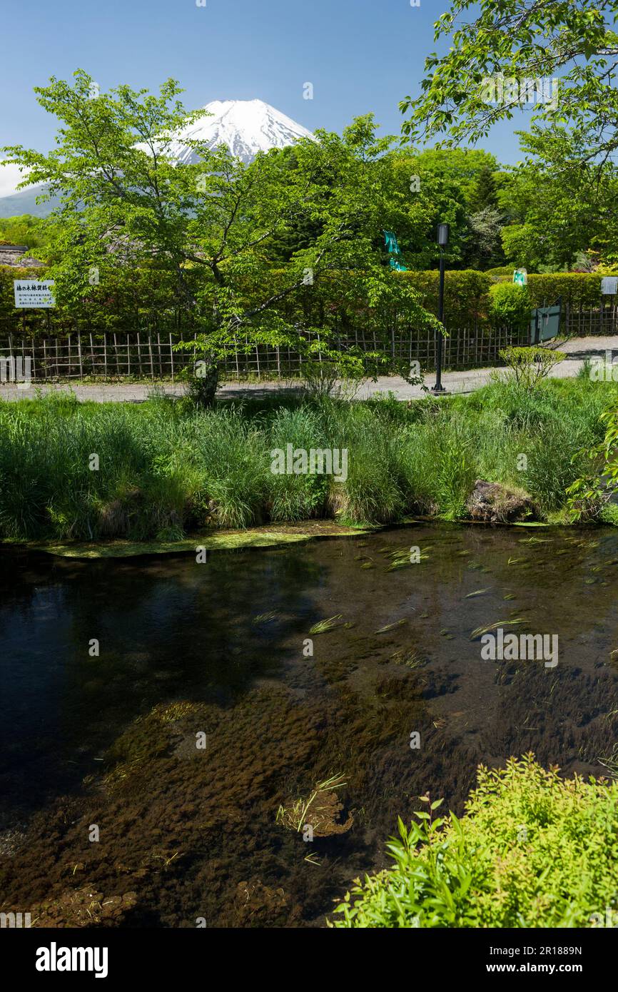 Oshino Hakkai Nigori pond Stock Photo - Alamy