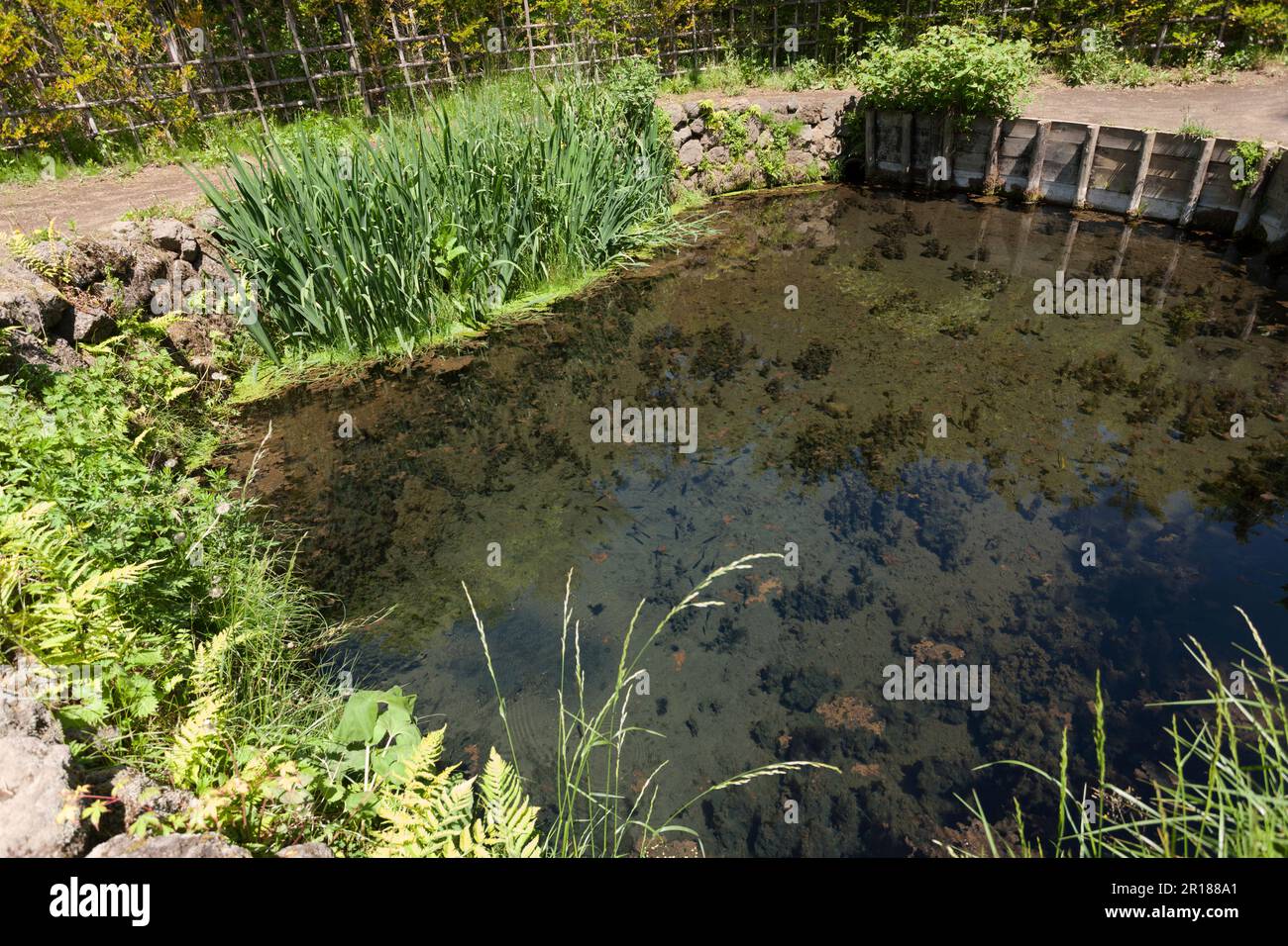 Choshi pond hi-res stock photography and images - Alamy
