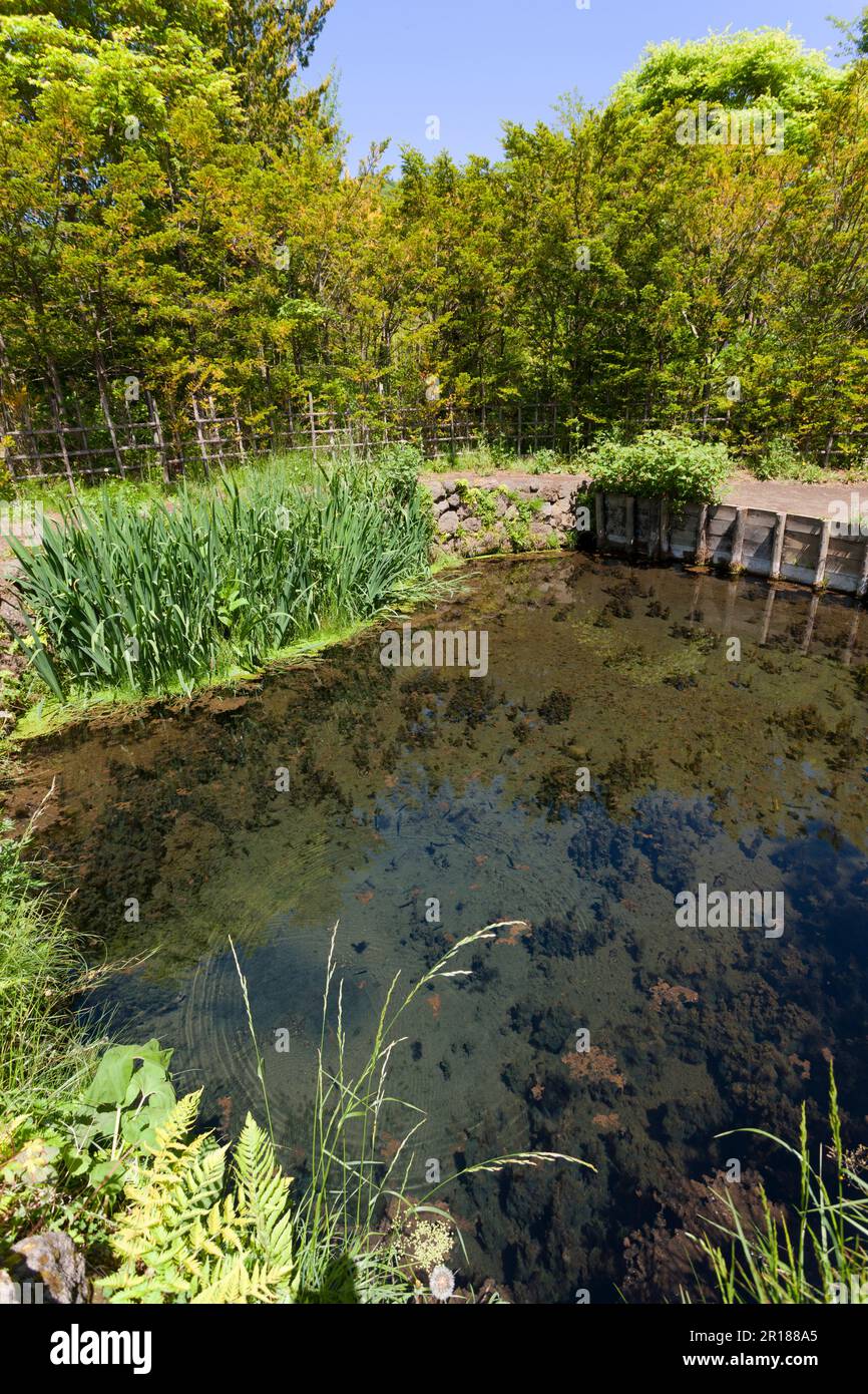Choshi pond hi-res stock photography and images - Alamy