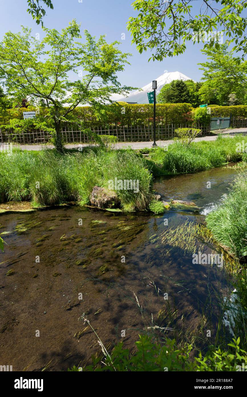 Oshino Hakkai Nigori pond and Mt. Fuji Stock Photo - Alamy