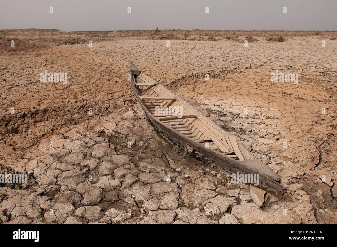 Marsh arab hi-res stock photography and images - Alamy