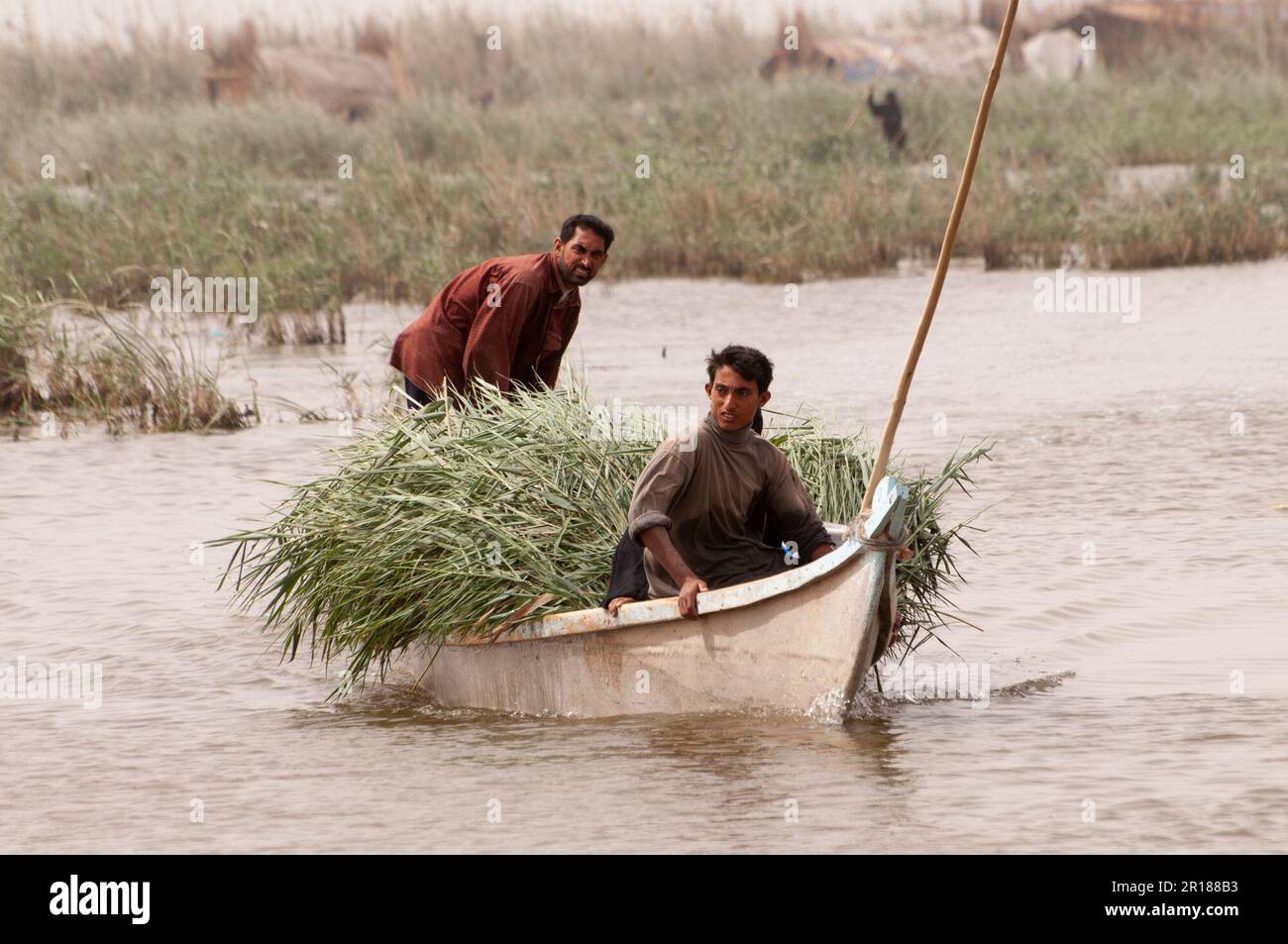 Marsh arabs iraq hi-res stock photography and images - Alamy