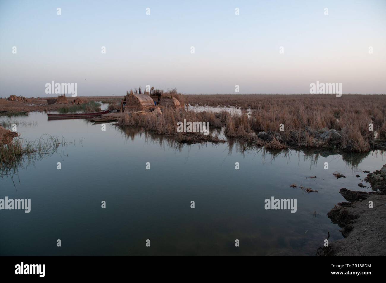 Traditional Reed dwellings of the Marsh Arabs, Southern Iraq Stock ...