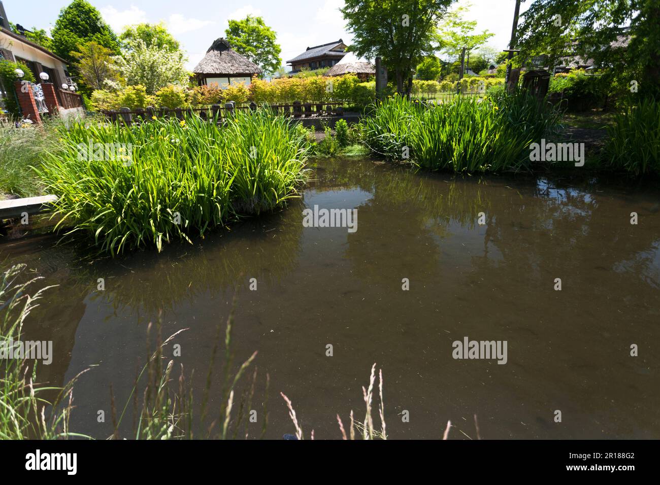 Oshino Hakkai Shobu pond Stock Photo - Alamy
