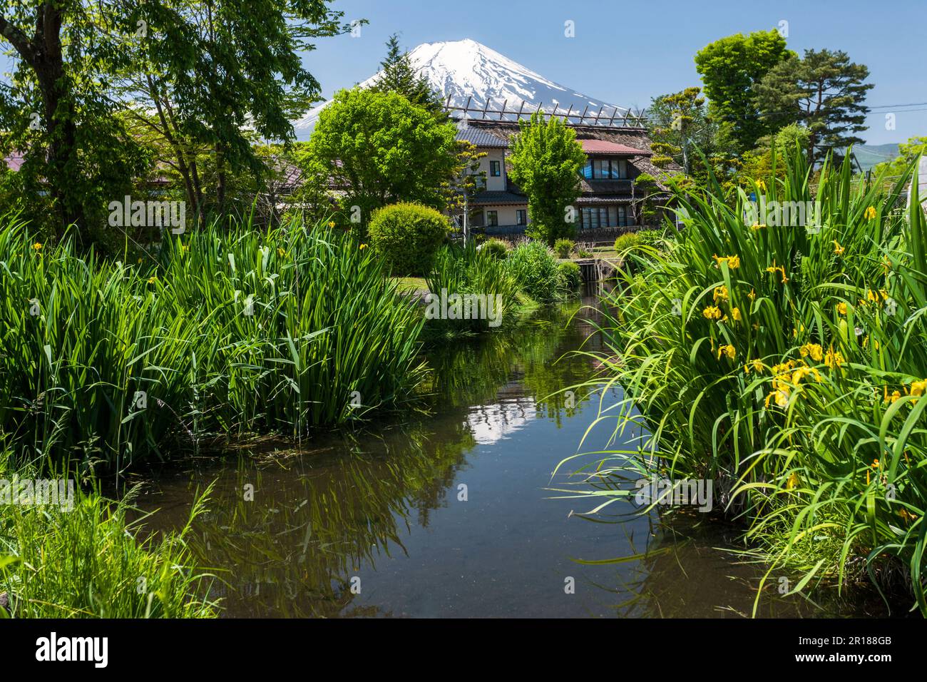 Oshino Hakkai Shobu pond and Mt. Fuji Stock Photo - Alamy