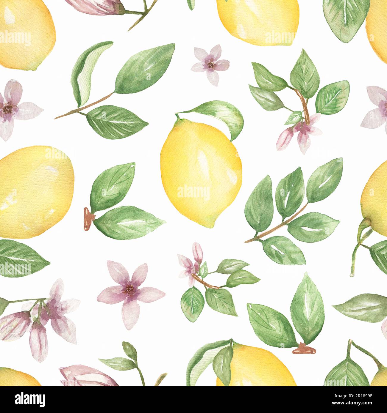 Watercolor hand drawn lemon seamless pattern, citrus fruit with leaves ...