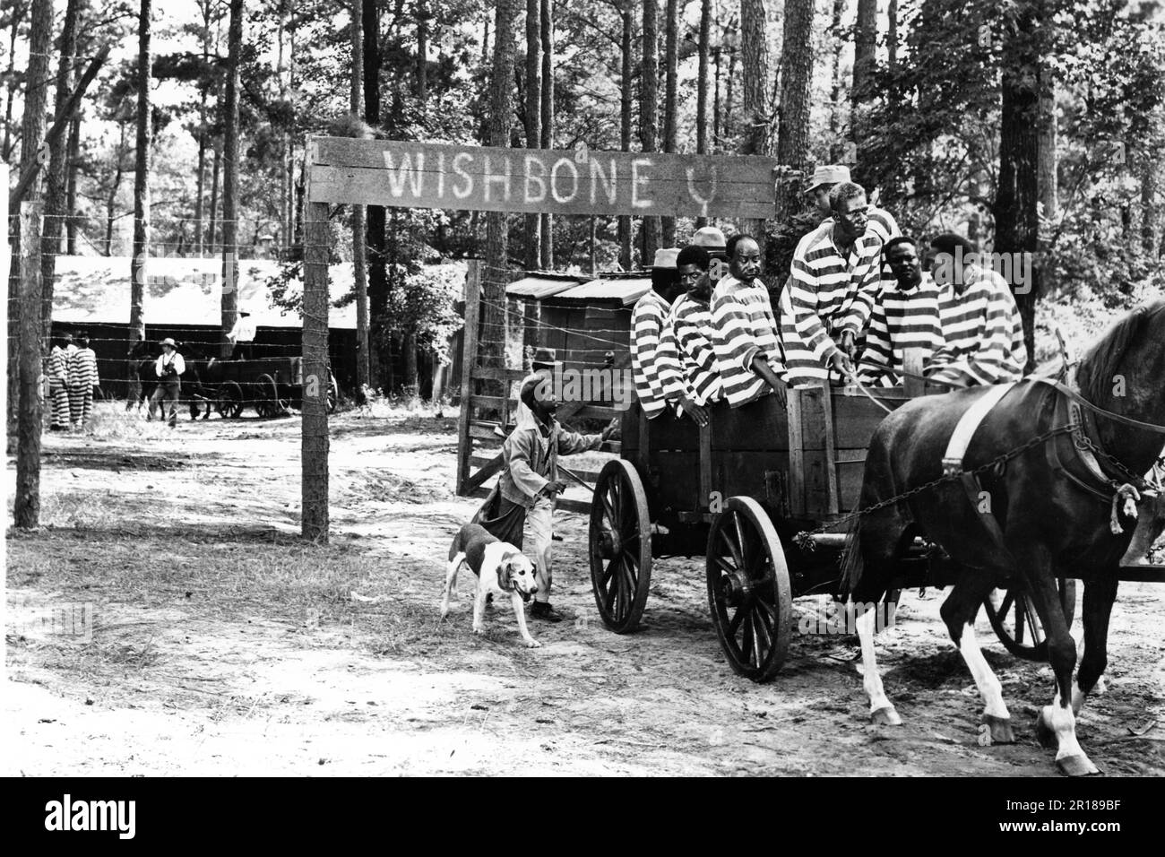 Kevin fox Black and White Stock Photos & Images - Alamy