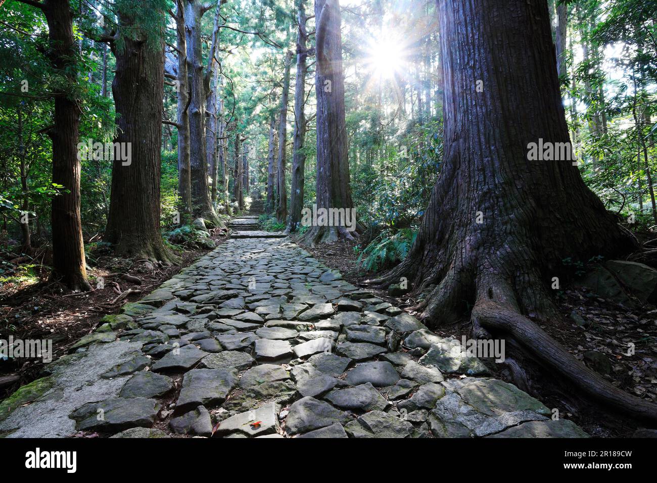 Daimon slope Kumano Kodo Stock Photo - Alamy