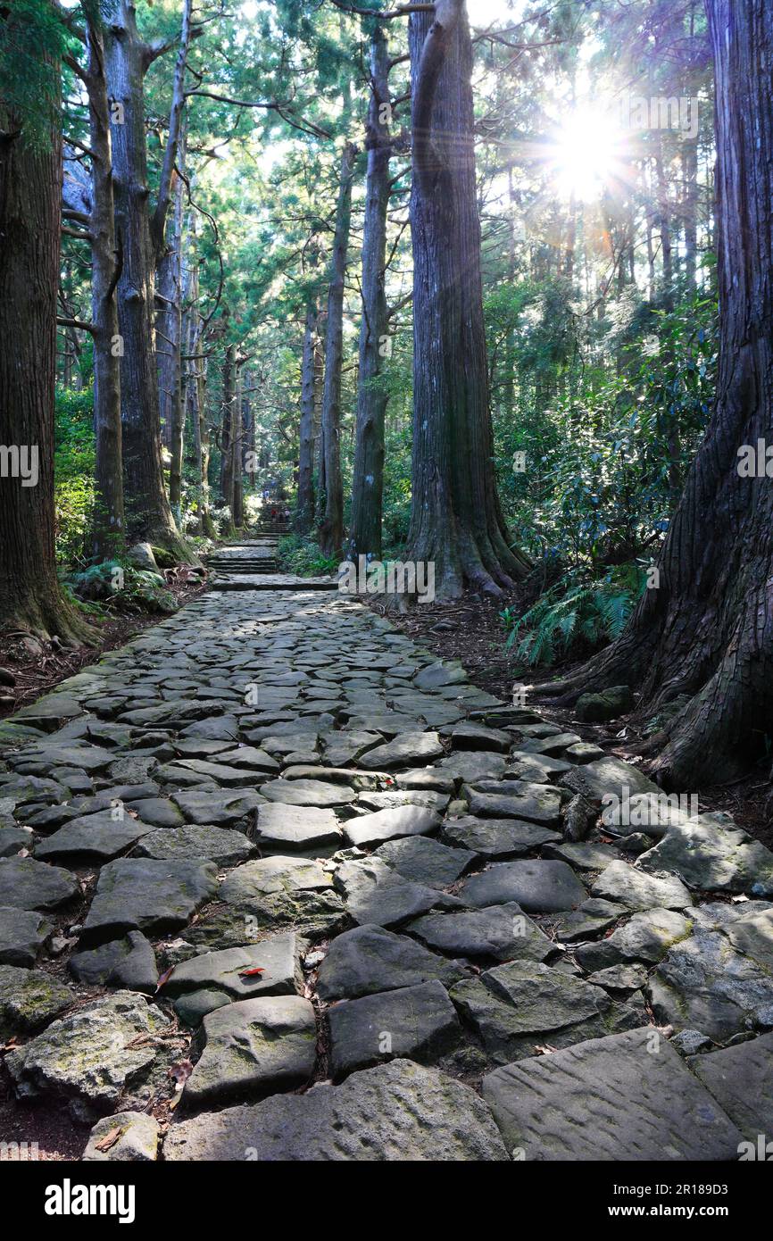 Daimon slope Kumano Kodo Stock Photo - Alamy