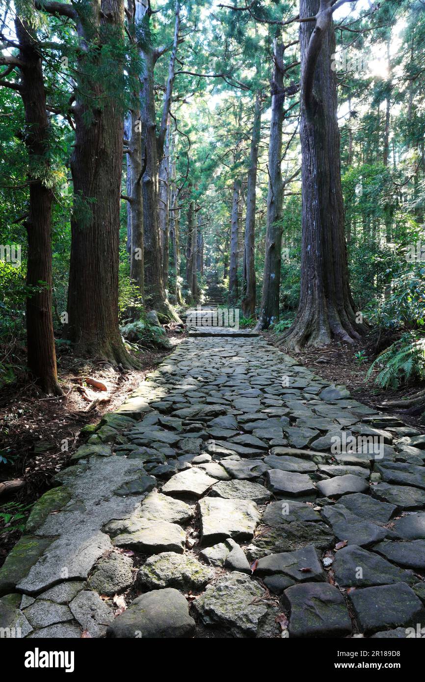 Daimon slope Kumano Kodo Stock Photo - Alamy