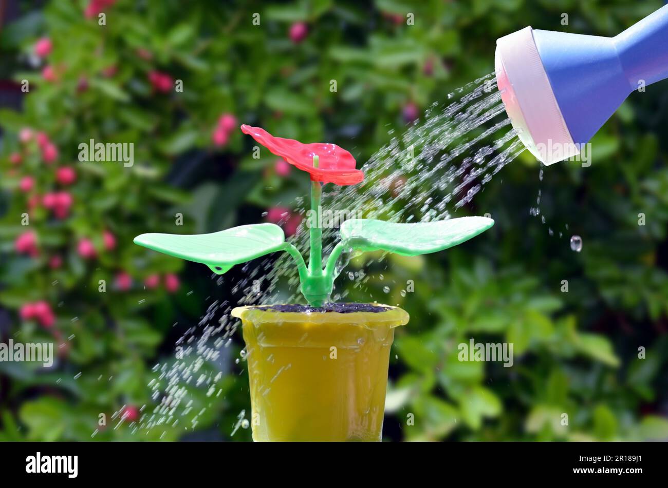 Watering plastic plant, illustrating idea of useless attempt Stock ...