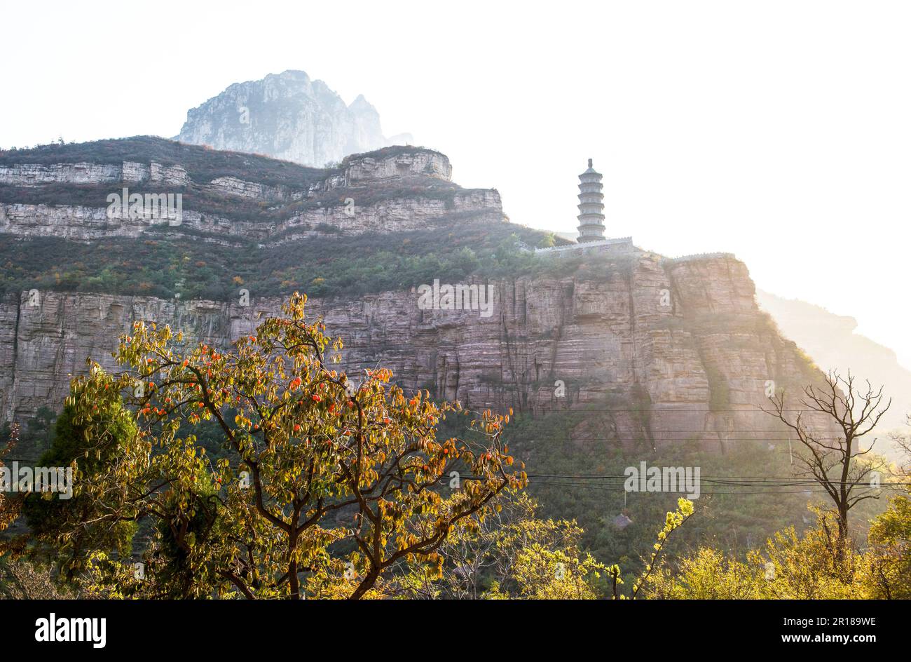 Looking up at the top of the mountain Stock Photo - Alamy