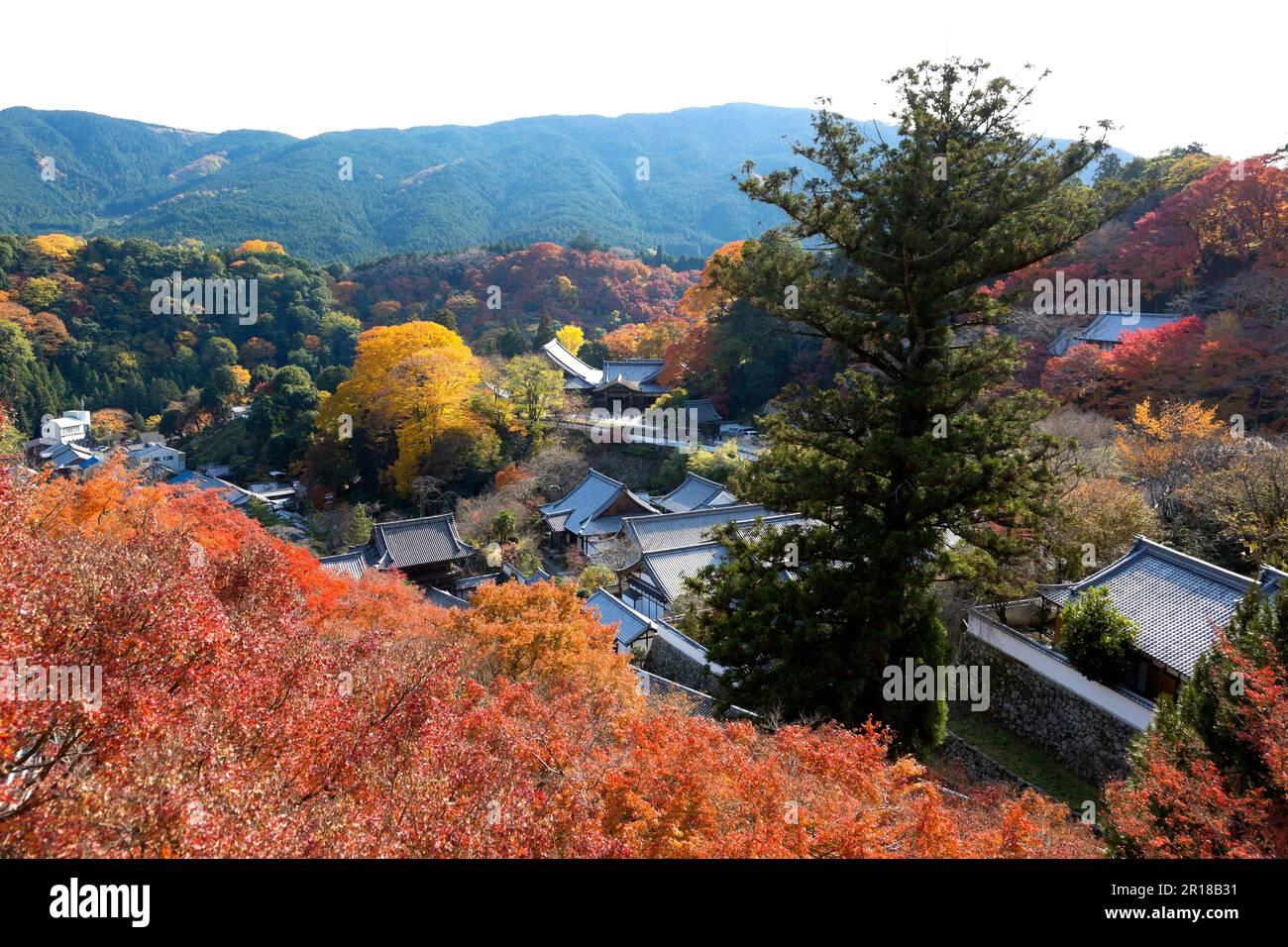 Precinct and autumn leaves viewed from main temple of Hasedera temple ...