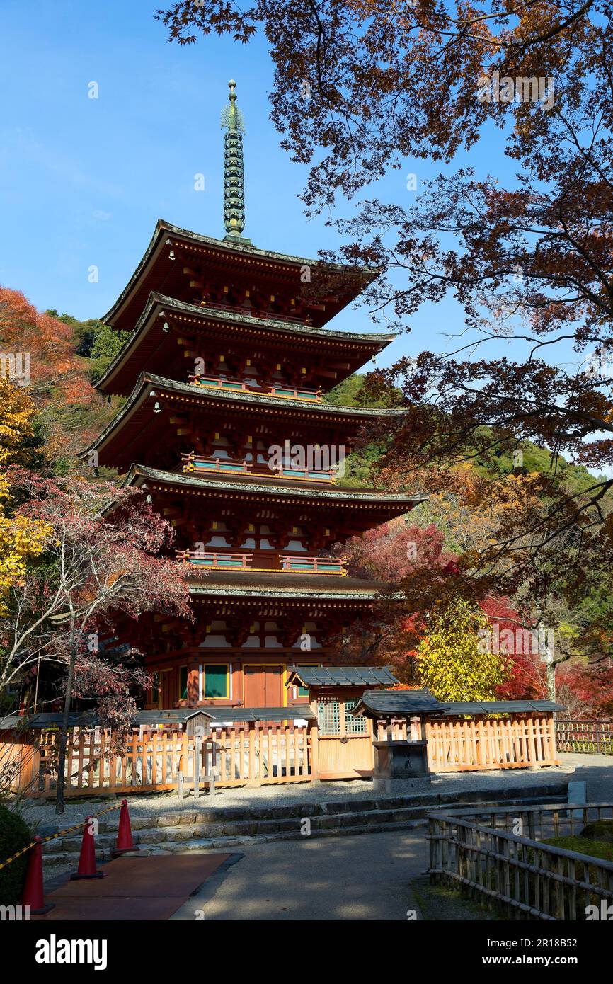 The five storied pagoda and autumn leaves of Hasedera temple Stock ...
