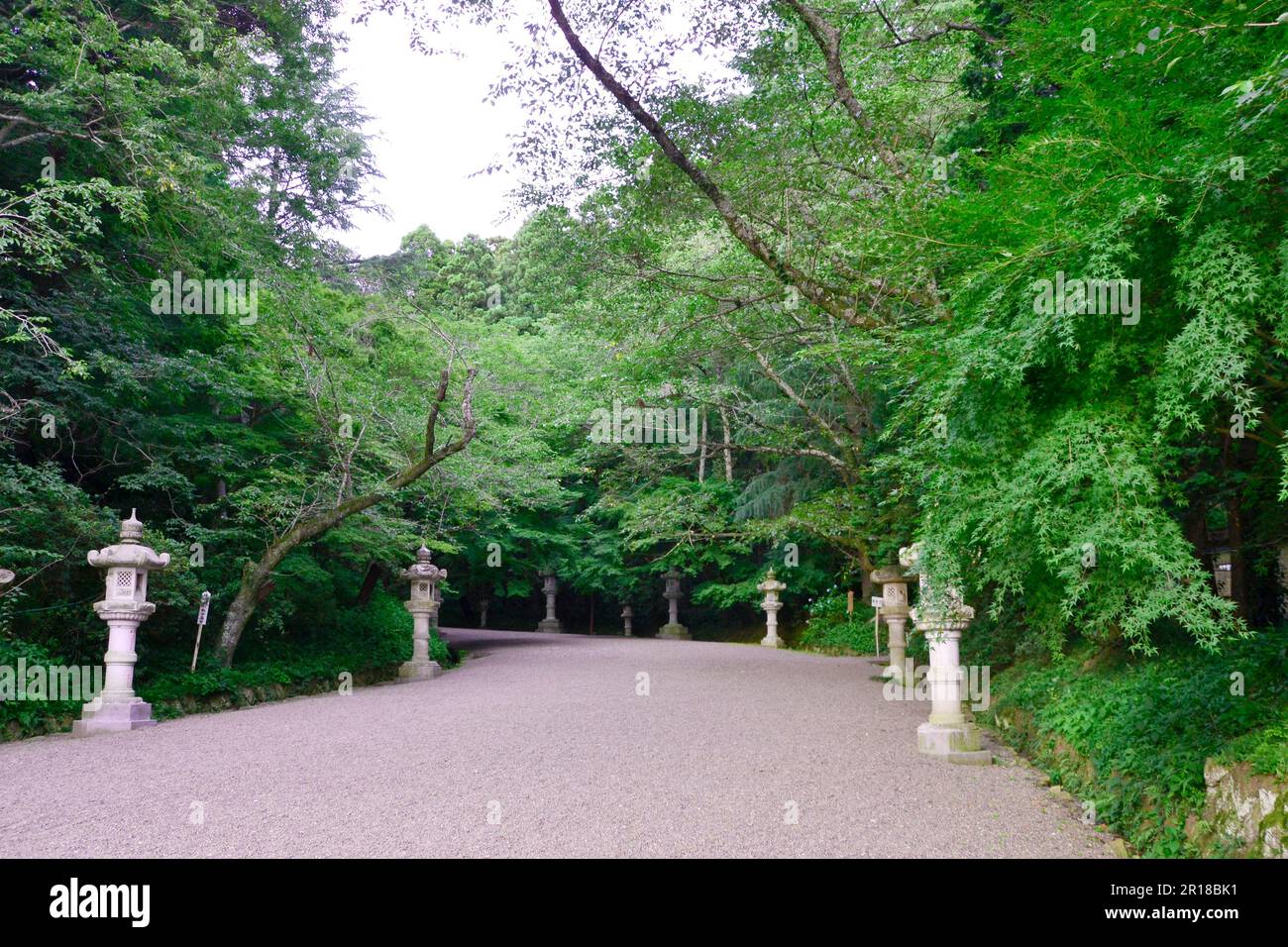 Katori Shrine Forest Stock Photo - Alamy