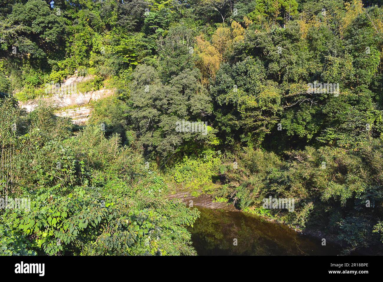 Yoro park hi-res stock photography and images - Alamy