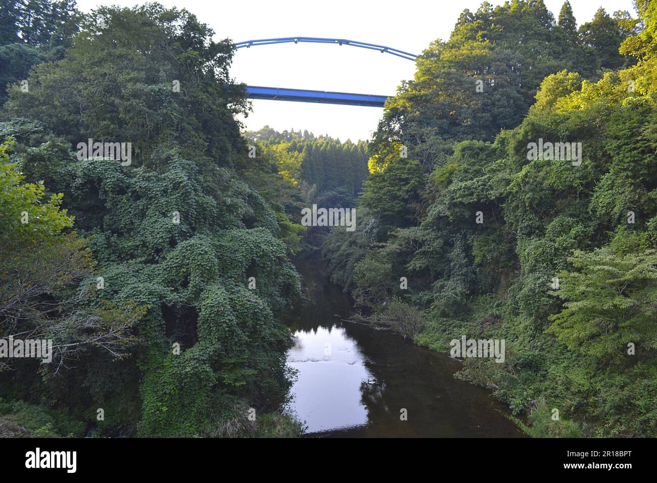 Yoro keikoku okukiyosumi prefectural natural park hi-res stock ...