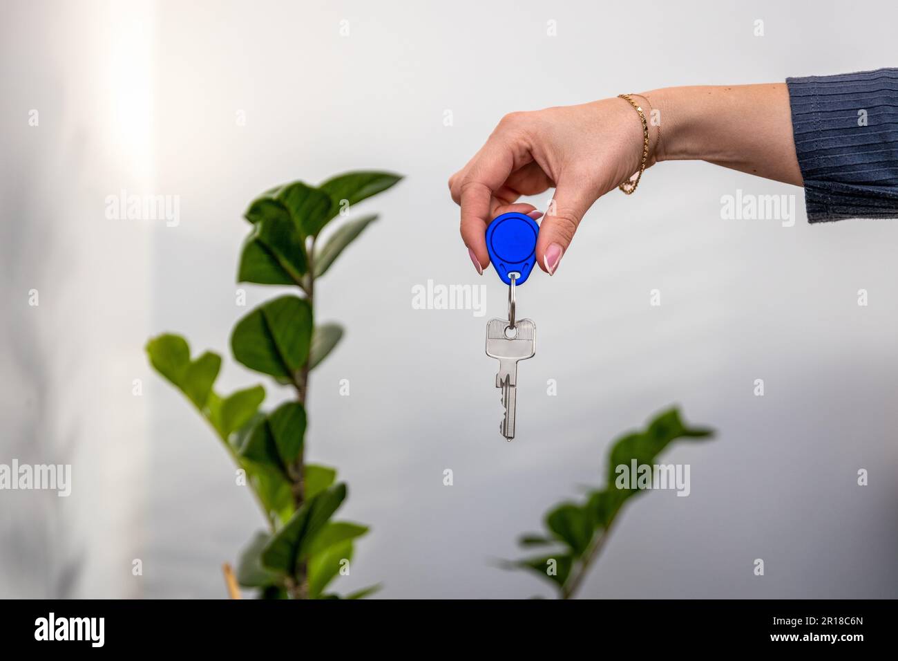Real key flower hi-res stock photography and images - Alamy