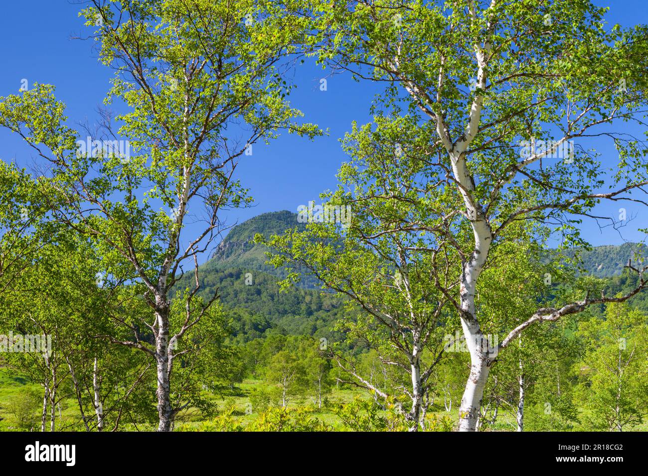 Mt kasa hi-res stock photography and images - Alamy