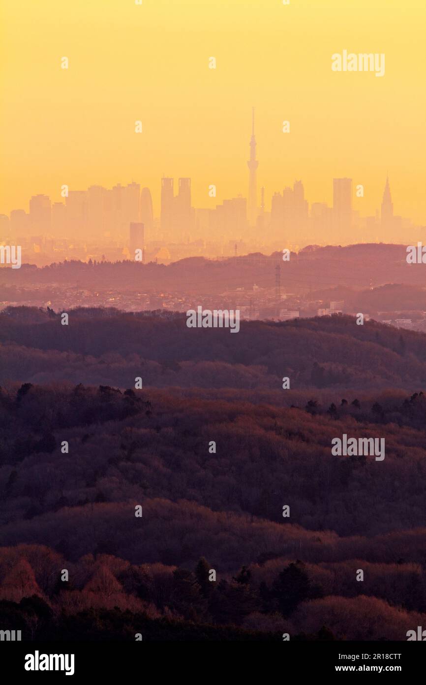 Tokyo Sky Tree and the Shinjuku sub-center buildings and Tama Hills in ...