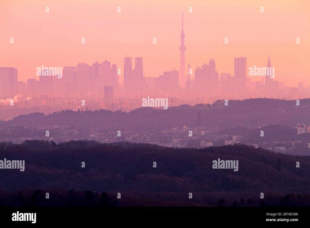 Tokyo Sky Tree and the Shinjuku sub-center buildings and Tama Hills in ...