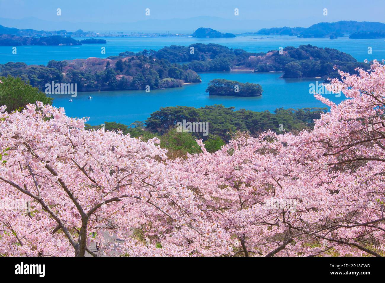 Matsushima and cherry of Matsy park of Saigyo Modoshi Stock Photo - Alamy