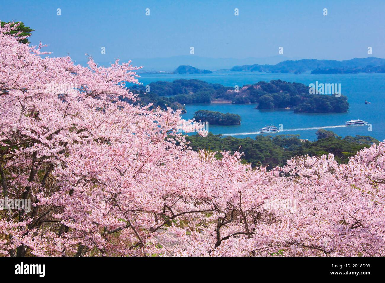 Matsushima and cherry of Matsy park of Saigyo Modoshi Stock Photo - Alamy