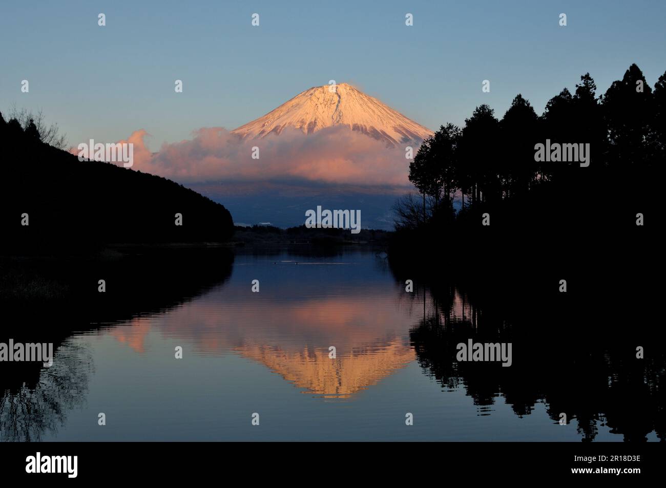 Mt. Fuji at sunset seen from Lake Tanuki Stock Photo - Alamy