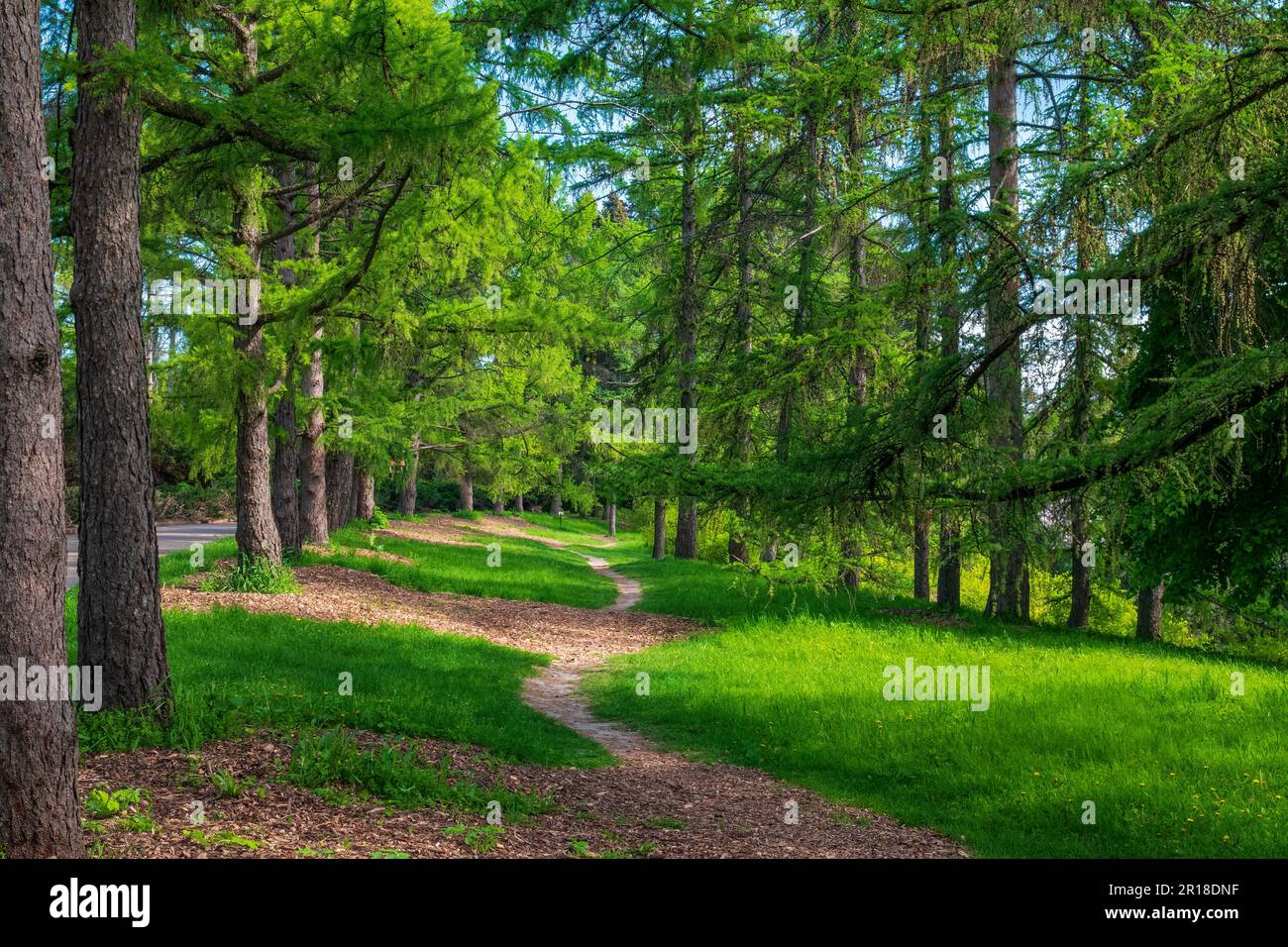 Winding footpath hi-res stock photography and images - Alamy