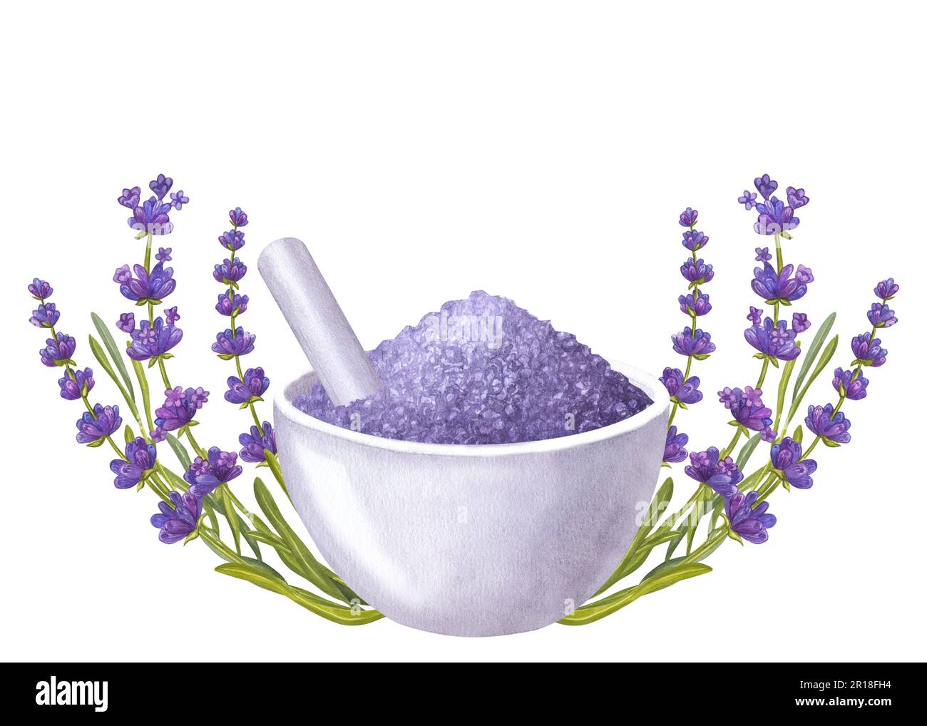 White mortar with lavender sea salt. Bowl and pestle. Aromatherapy, spa, bath. Hand draw ...