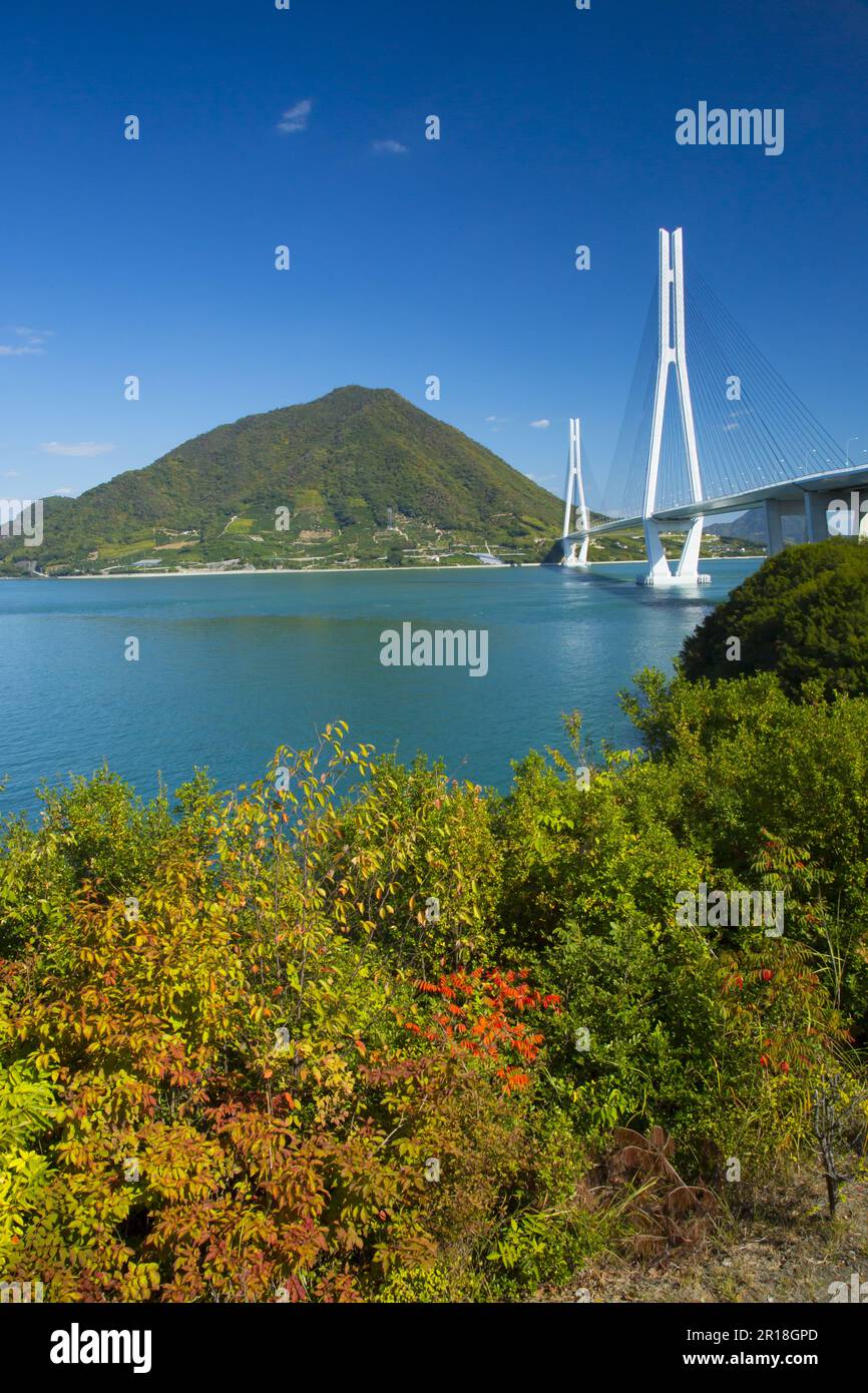 Tatara Bridge of Shimanami Kaido Stock Photo - Alamy