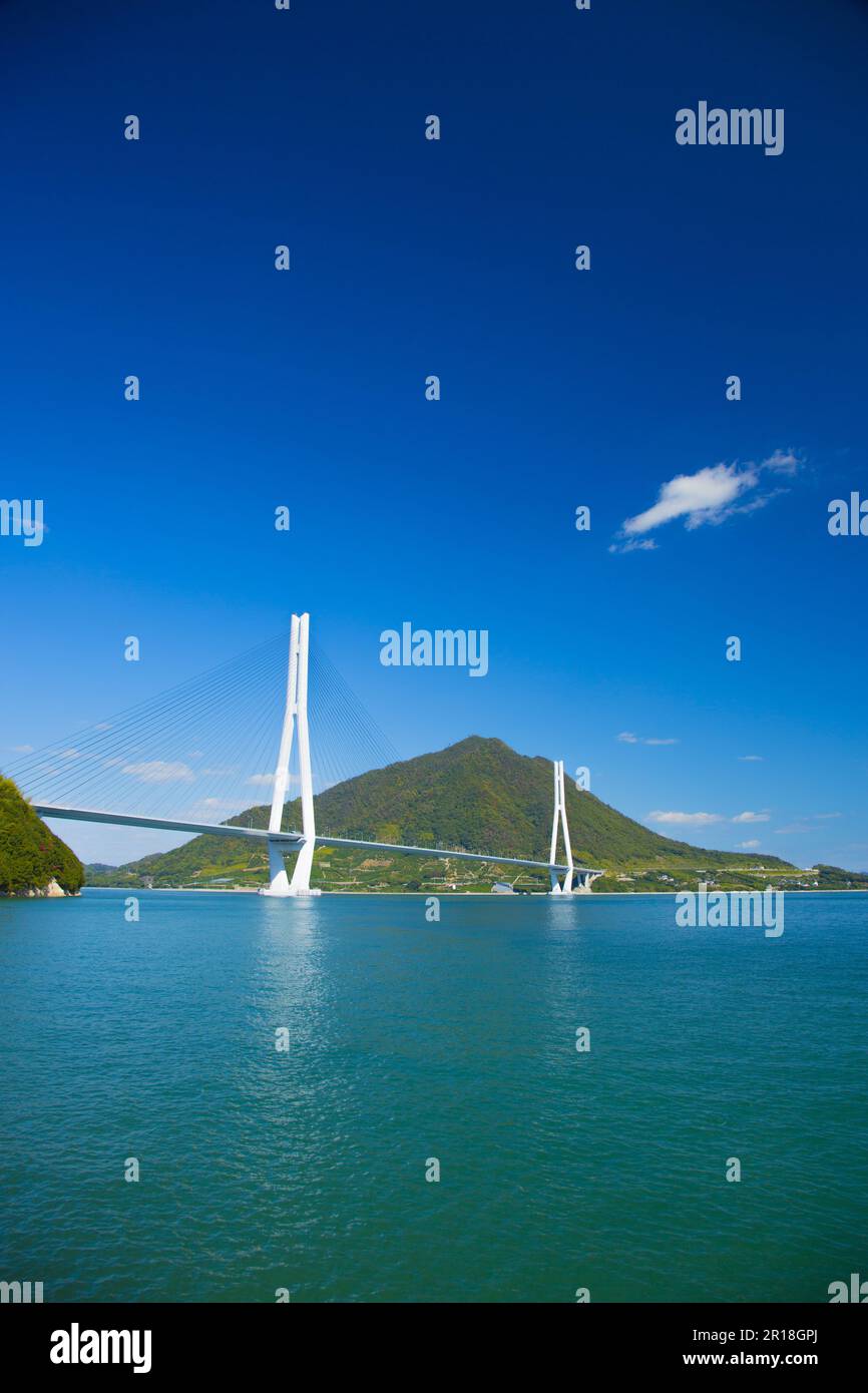 Tatara Bridge At Night